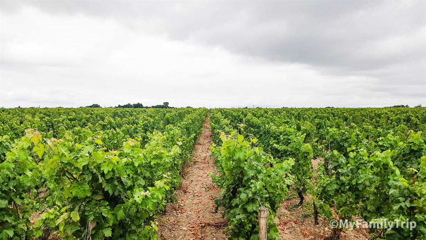 Road Trip en famille dans le MEDOC, entre les vignobles et l'océan